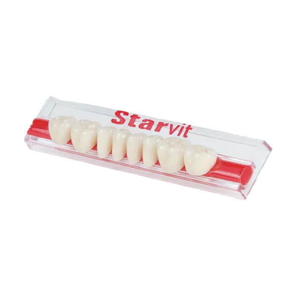 Dentes Acrilicos 2 camadas Posteriores | Starvit – Dotamed Online